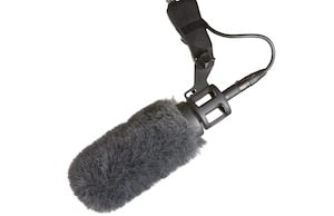 What Are Dead Cats And Why Are Outdoor Microphones Furry? – My New ...