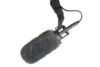 What Are Dead Cats And Why Are Outdoor Microphones Furry?