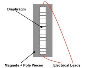 Differences Between Dynamic, Condenser, & Ribbon Microphones