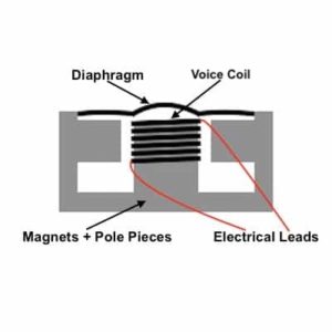 What Is A Microphone Voice Coil?
