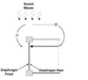 A Complete Guide To Directional Microphones (With Pictures)