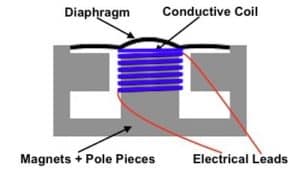 The Complete Guide To Moving-Coil Dynamic Microphones