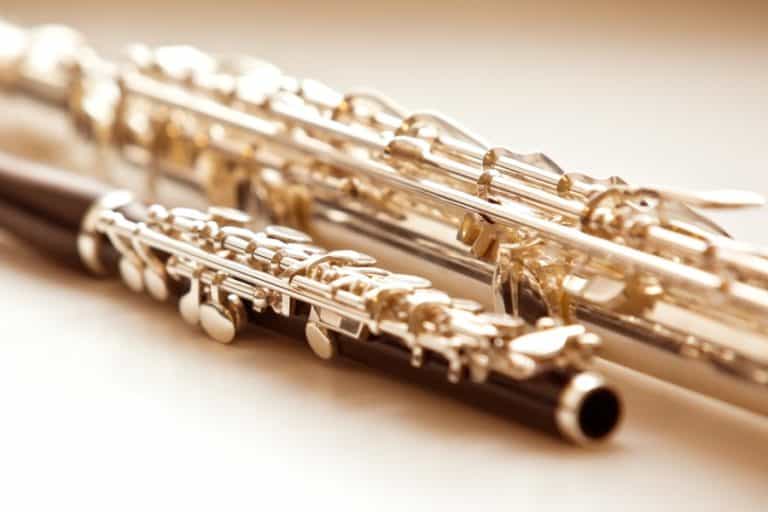 What Are The Different Types Of Flutes? (4 Main Flute Types) – My New ...
