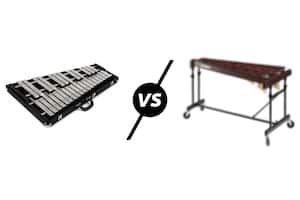 What Are The Differences Between Glockenspiels & Xylophones? – My New ...